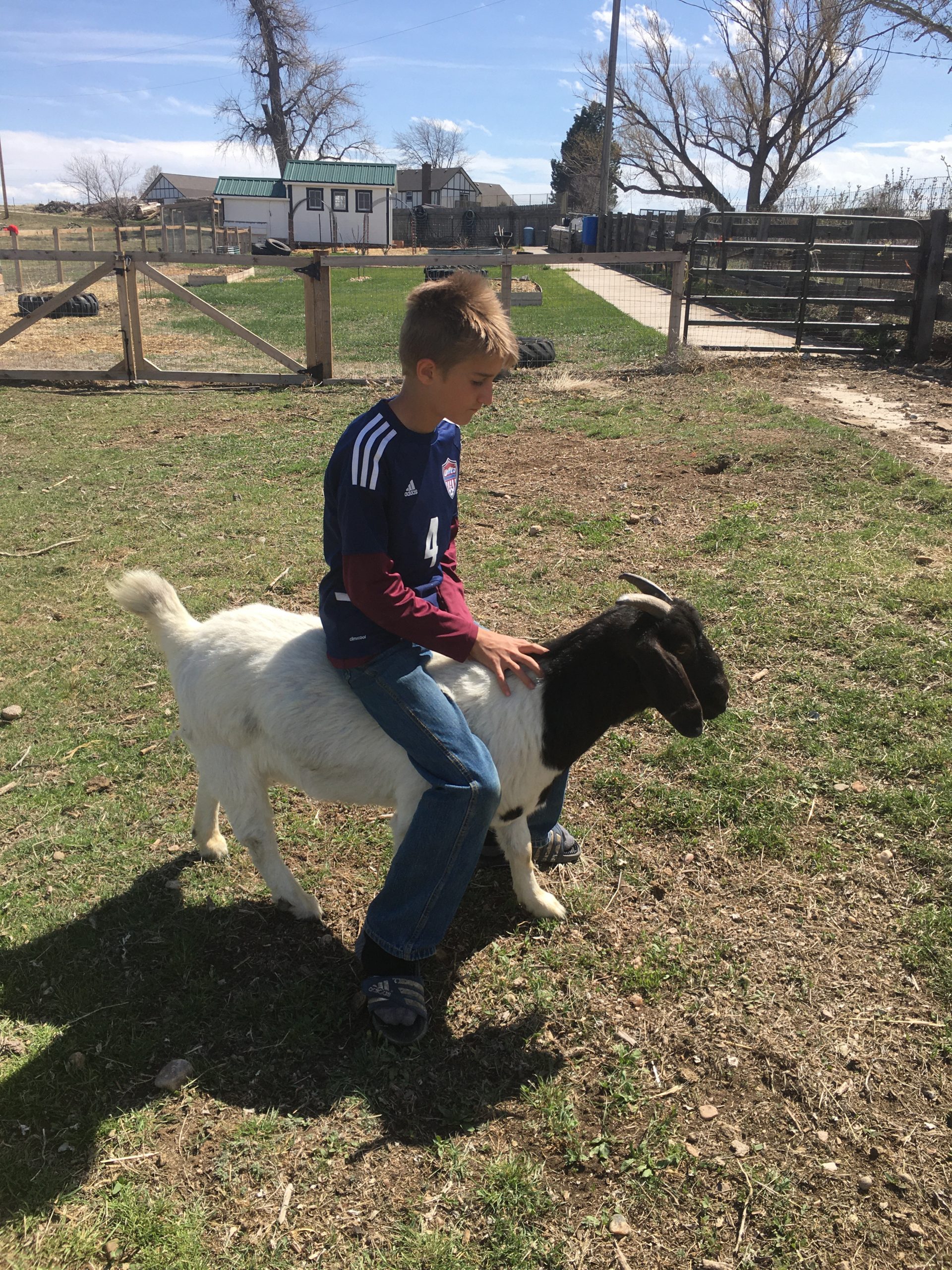 Third: Weed Eaters - Genuine Homestead